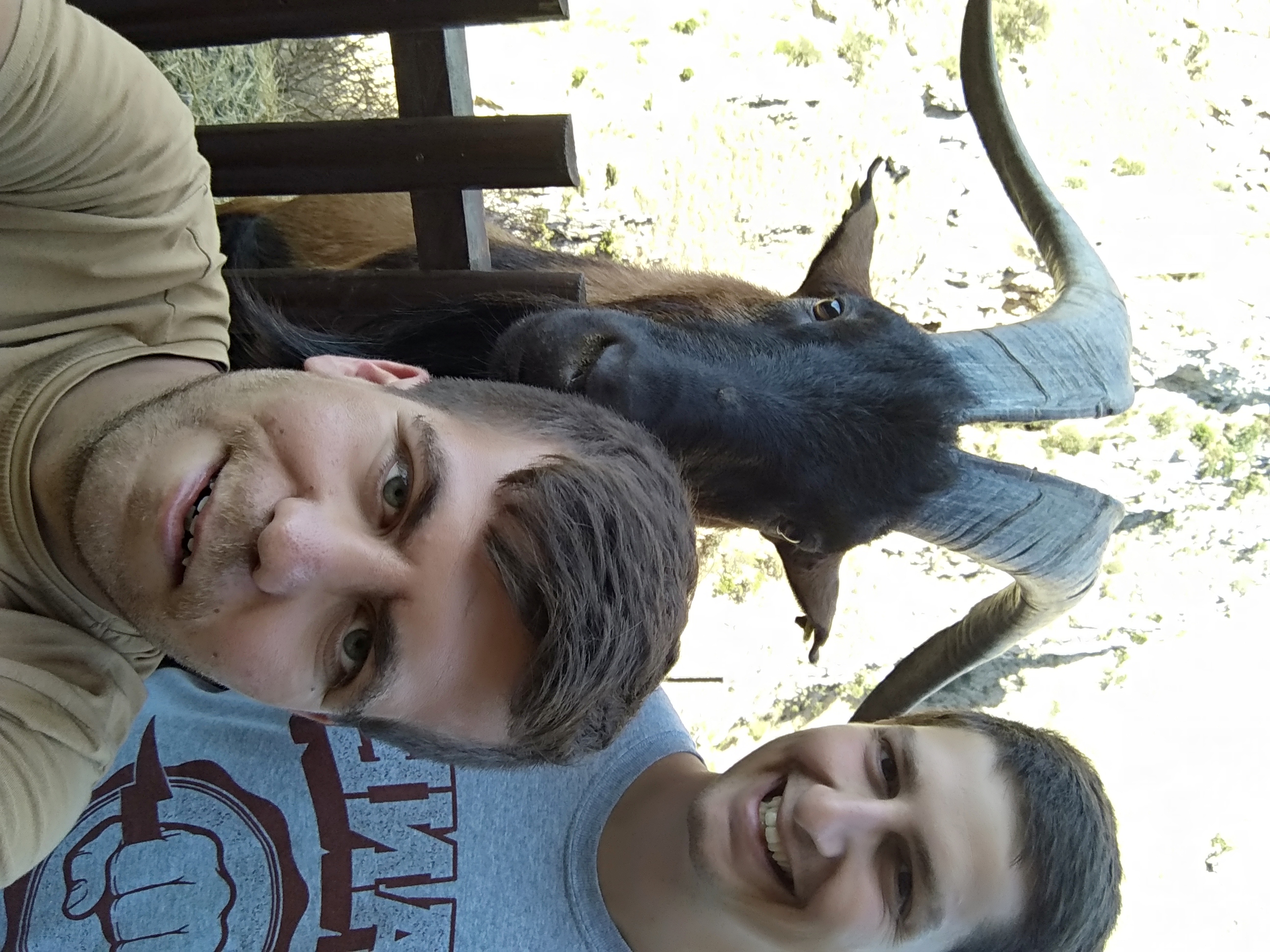 Spiros Daskalakis Homepage